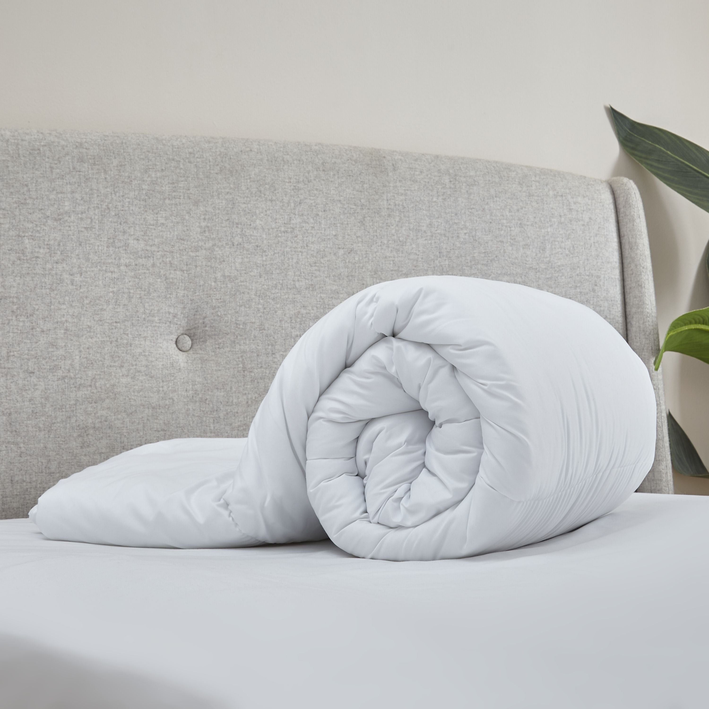 Bedding Sets, Curtains & Home Furnishings | Charmed Interiors